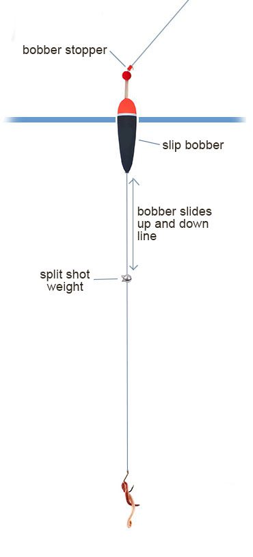 Bug Wing - FieldTorq